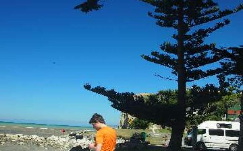 Motunau Beach Camp | Freedom/Basic Camp | New Zealand